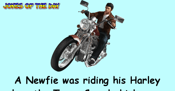 A Newfie was riding his Harley along the Trans Canada highway | Jokes ...