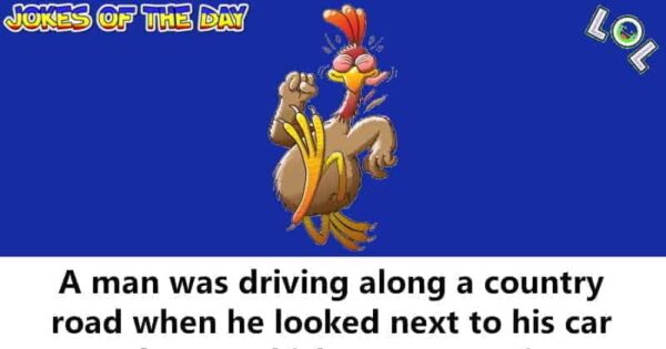 The man was amazed to see a three legged chicken running 50mph | Jokes ...