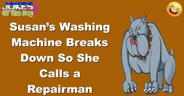 Hilarious Joke: Susan’s Washing Machine Breaks Down So She Calls a ...