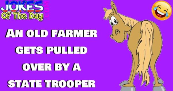 Funny Joke: An old farmer gets pulled over by a state trooper | Jokes ...