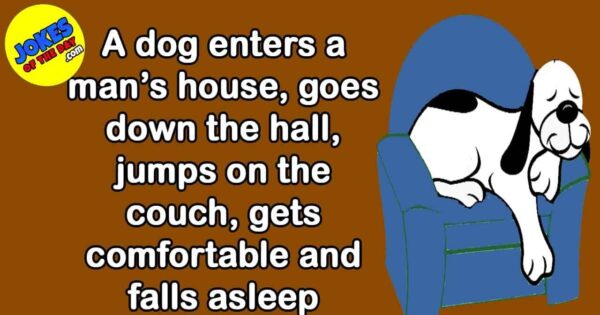 Funny Joke: A dog enters a man’s house, jumps on the couch, gets ...